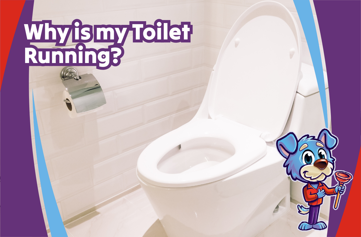 Why Is My Toilet Running? - Trusted Plumbing & Heating