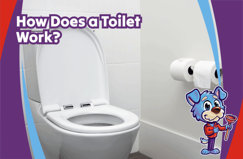 How Does a Toilet Work? - Trusted Plumbing & Heating